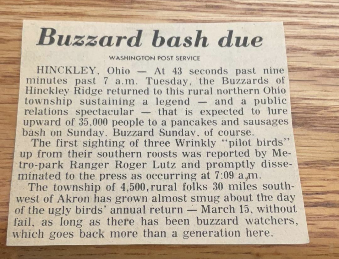 A very buzzard homecoming. | QuotableCreek.com