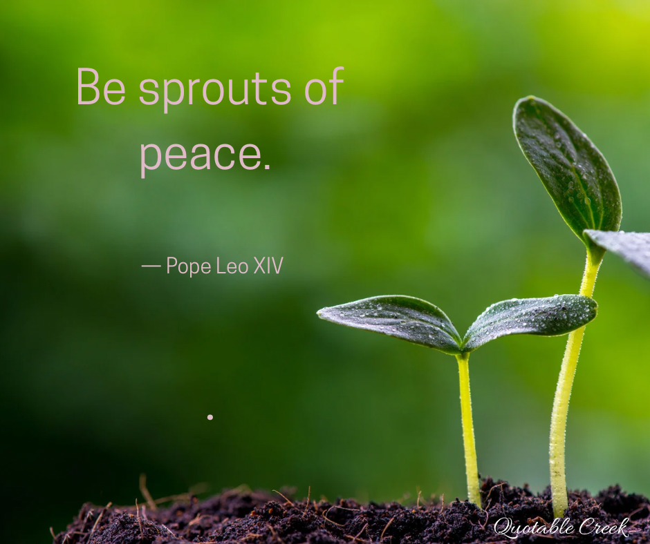 Peace sprouts. | QuotableCreek.com